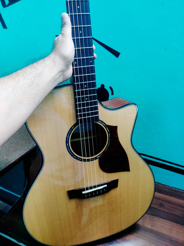 Hex GA400CE/G -Hornet Series Electro-Acoustic Guitar