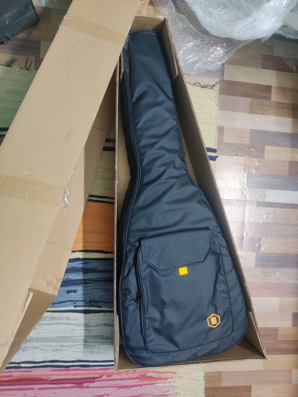 Hex GA400CE/G -Hornet Series Electro-Acoustic Guitar